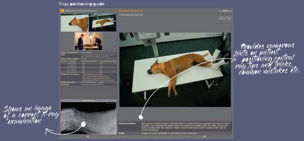 Clio DR X-Ray Acquisition Software in Dubai, Abu Dhabi, Sharjah, UAE ...
