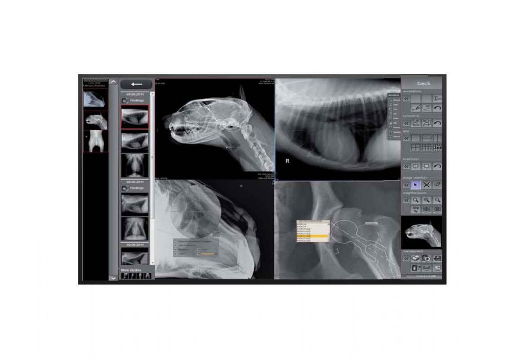 Clio DR X-Ray Acquisition Software in Dubai, Abu Dhabi, Sharjah, UAE ...